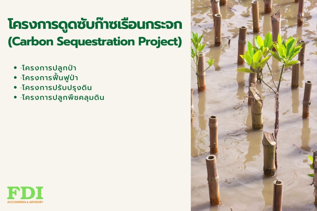 What are the projects for generating carbon credits? - FDI